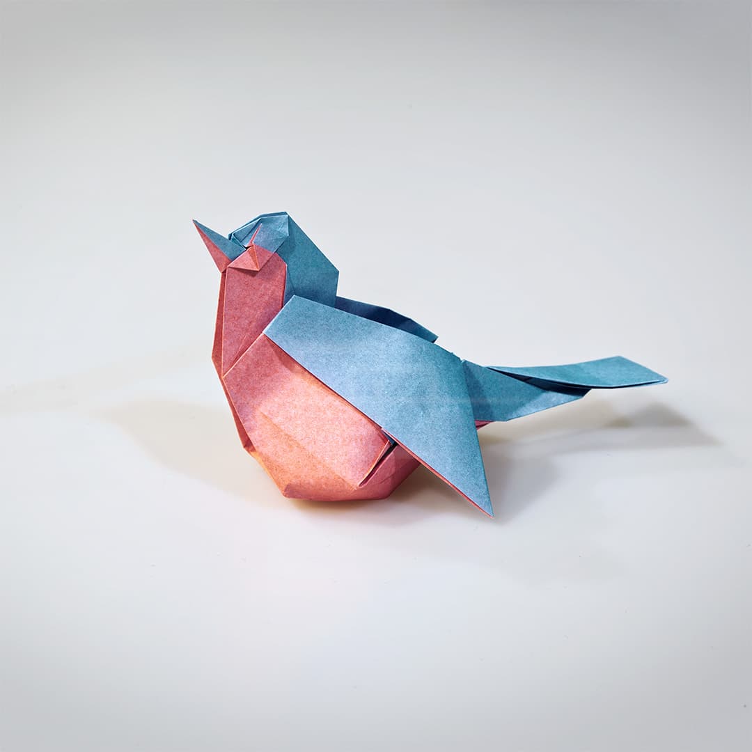 Origami Gallery | Origami by Himanshu (Mumbai, India)