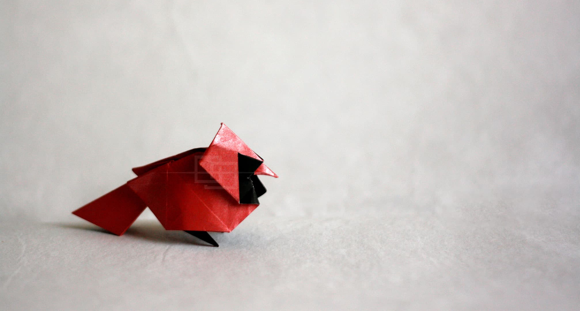 Origami Gallery | Origami by Himanshu (Mumbai, India)